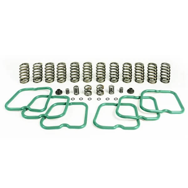 5.9 12v Cummins Pacbrake Valve & Governor Spring Kit (12 Springs)