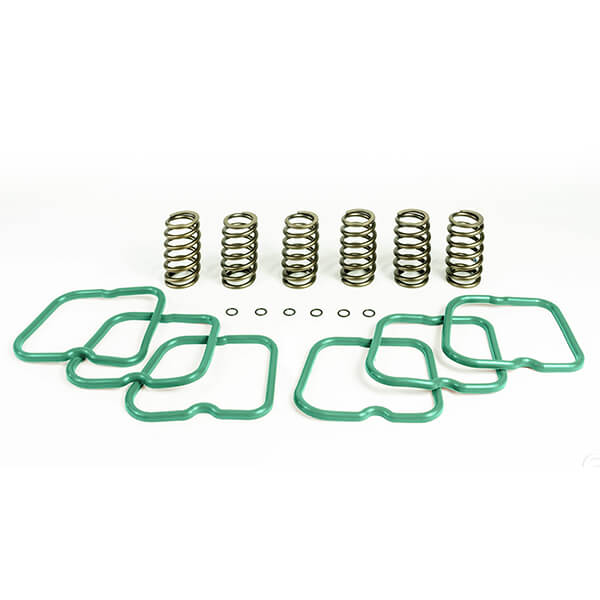 5.9 12v Cummins Pacbrake Basic Valve Spring Kit (6 Springs)