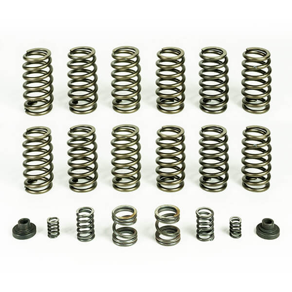 5.9 12v Cummins Pacbrake Valve & Governor Spring Kit (12 Springs)